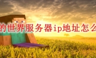 我的世界服务器ip地址怎么看_MC服务器ip地址查看方法_3DM网游